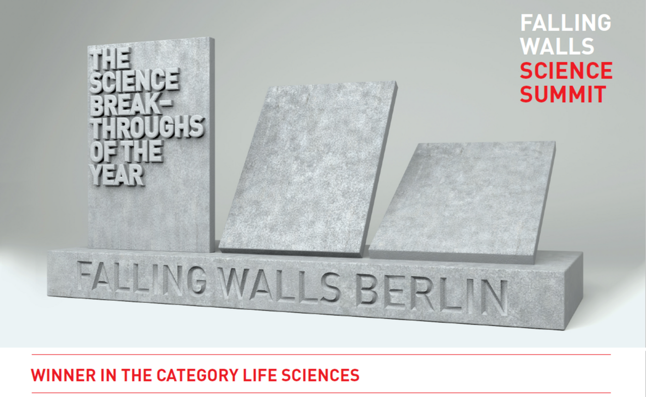 Breaking the Wall to the Molecular Evolution of RNA-modifying Ribozymes ...