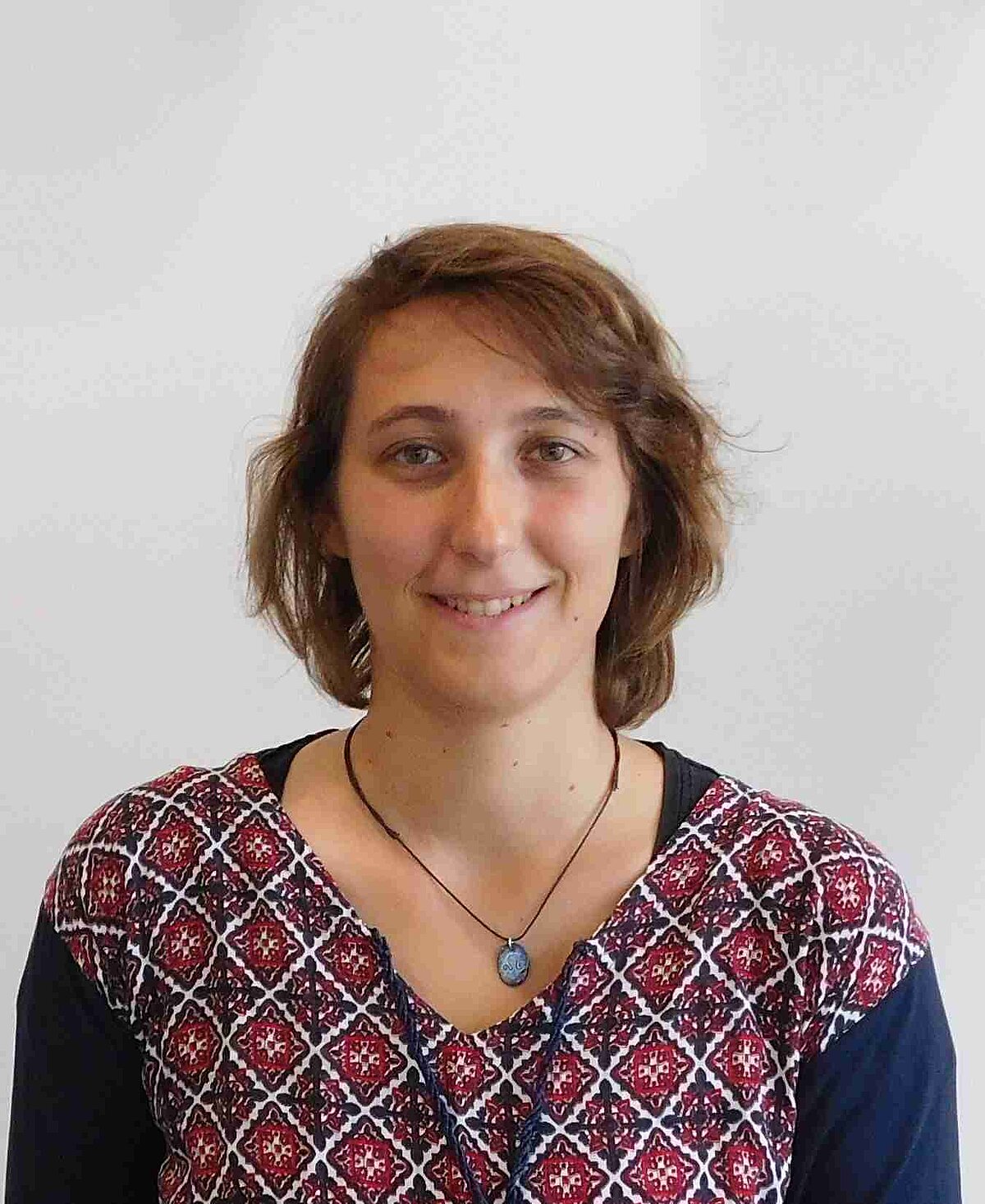 New group members - Prof. Dr. U. Schatzschneider